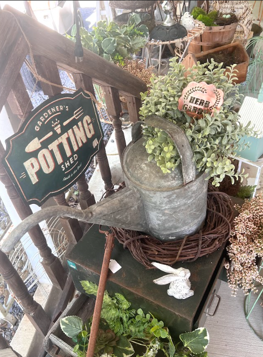 Collections – Cedar Grove Farms